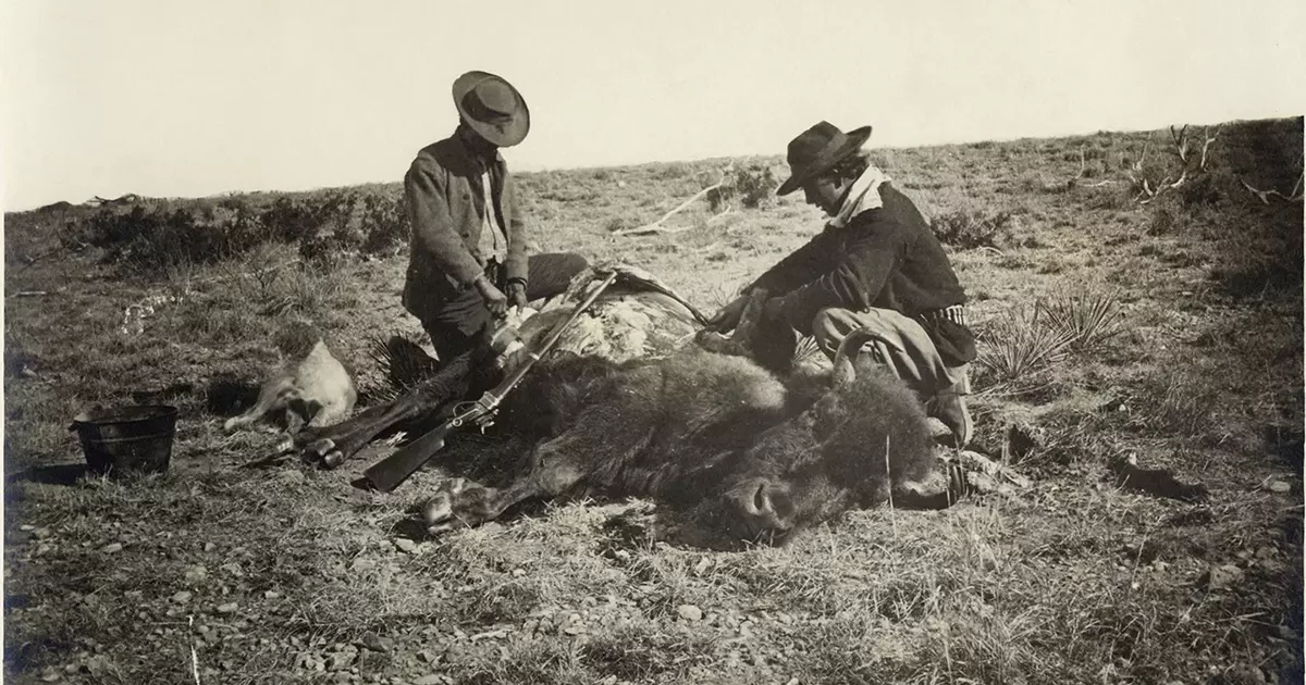 When American Wildlife Was For Sale | The American Buffalo | Ken Burns ...
